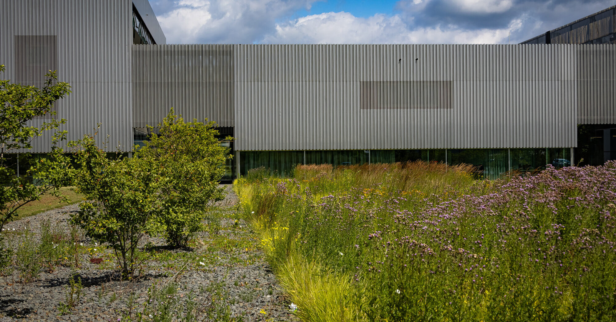 Studium | Leverkusen bildet